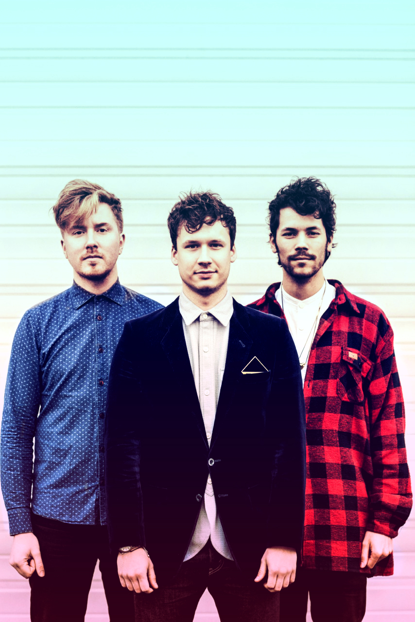 HANDSOME POETS - PAARD