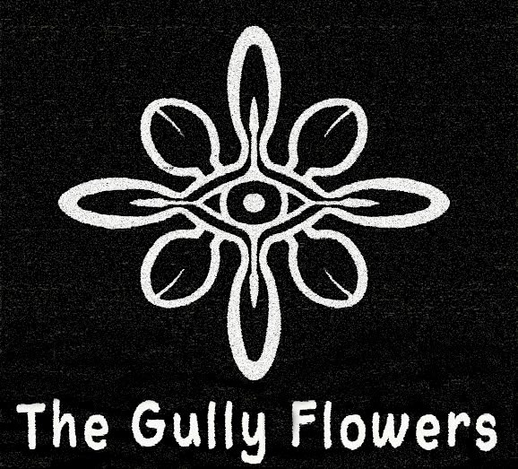 PAARDCAFÉ: The Gully Flowers + Harry Merry - PAARD