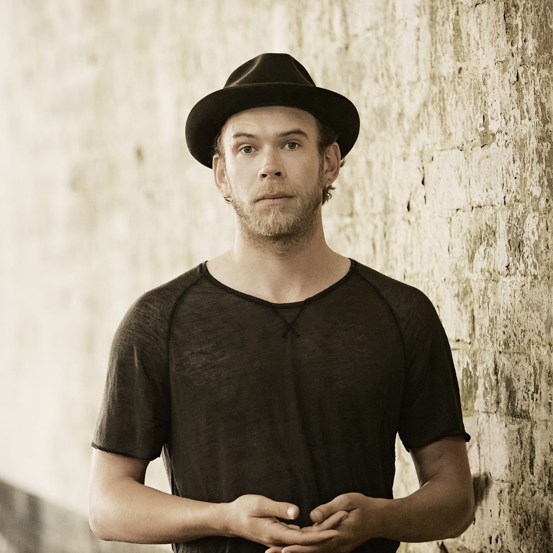 MICHAEL PRINS - PAARD