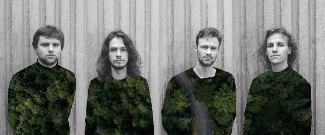 Paardcafé: The Bad Tones + Yip Roc - PAARD