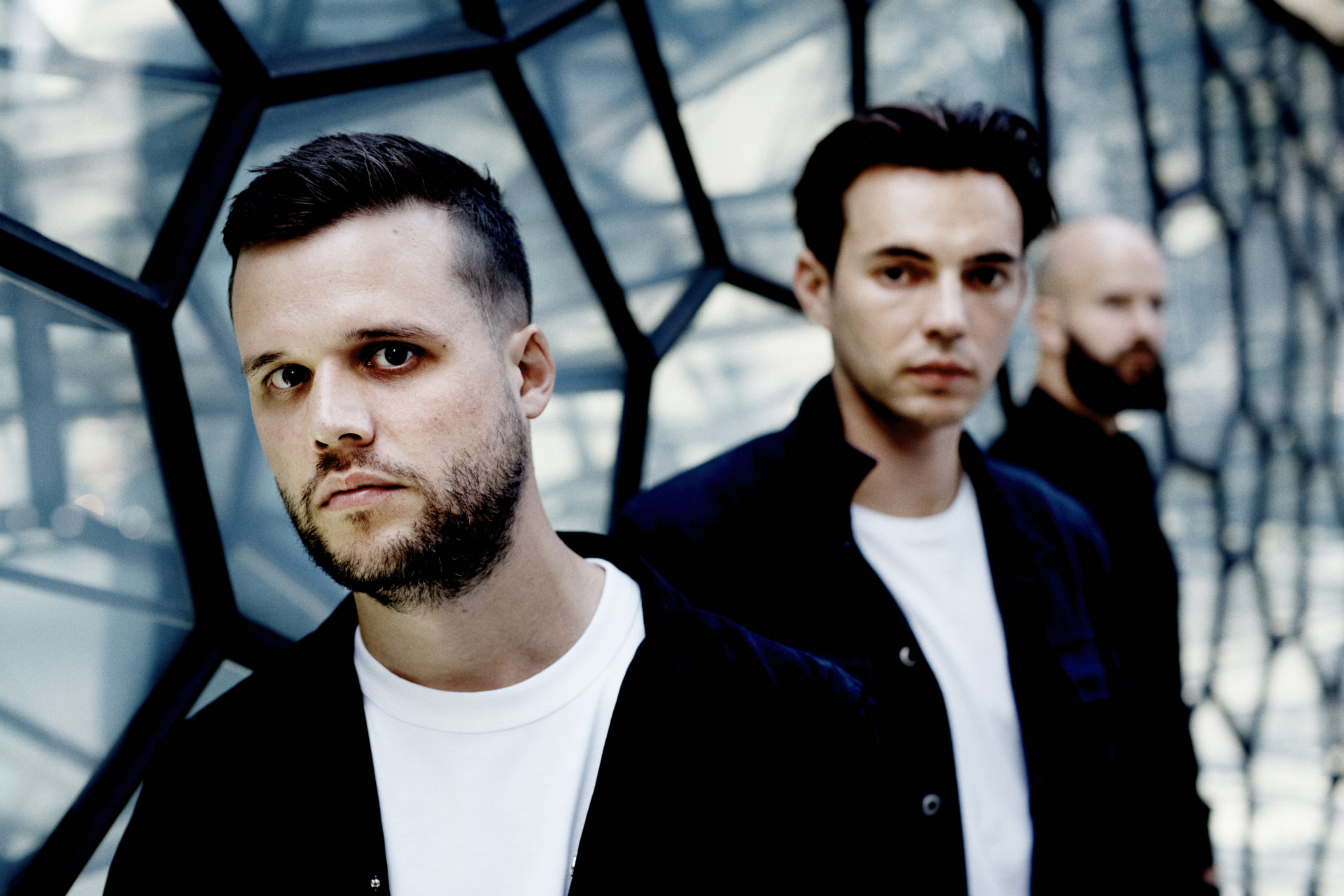 WHITE LIES [SOLD OUT] - PAARD