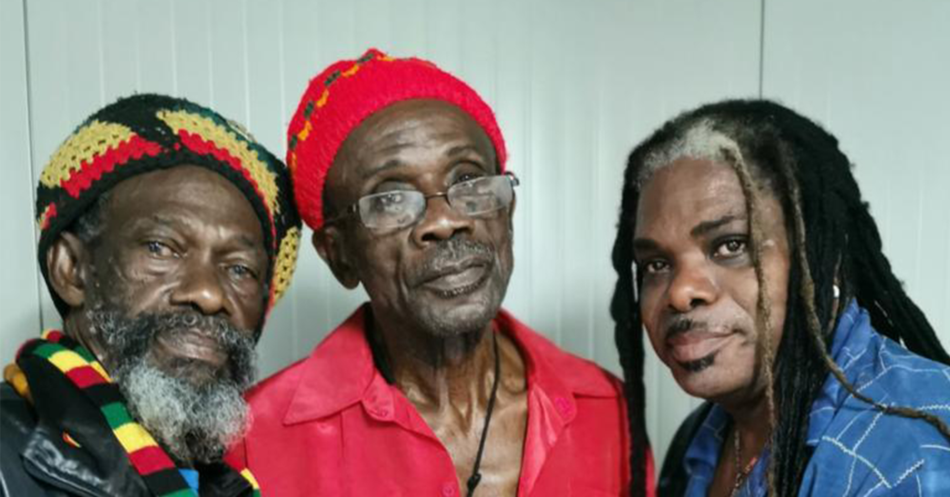 THE ABYSSINIANS - PAARD