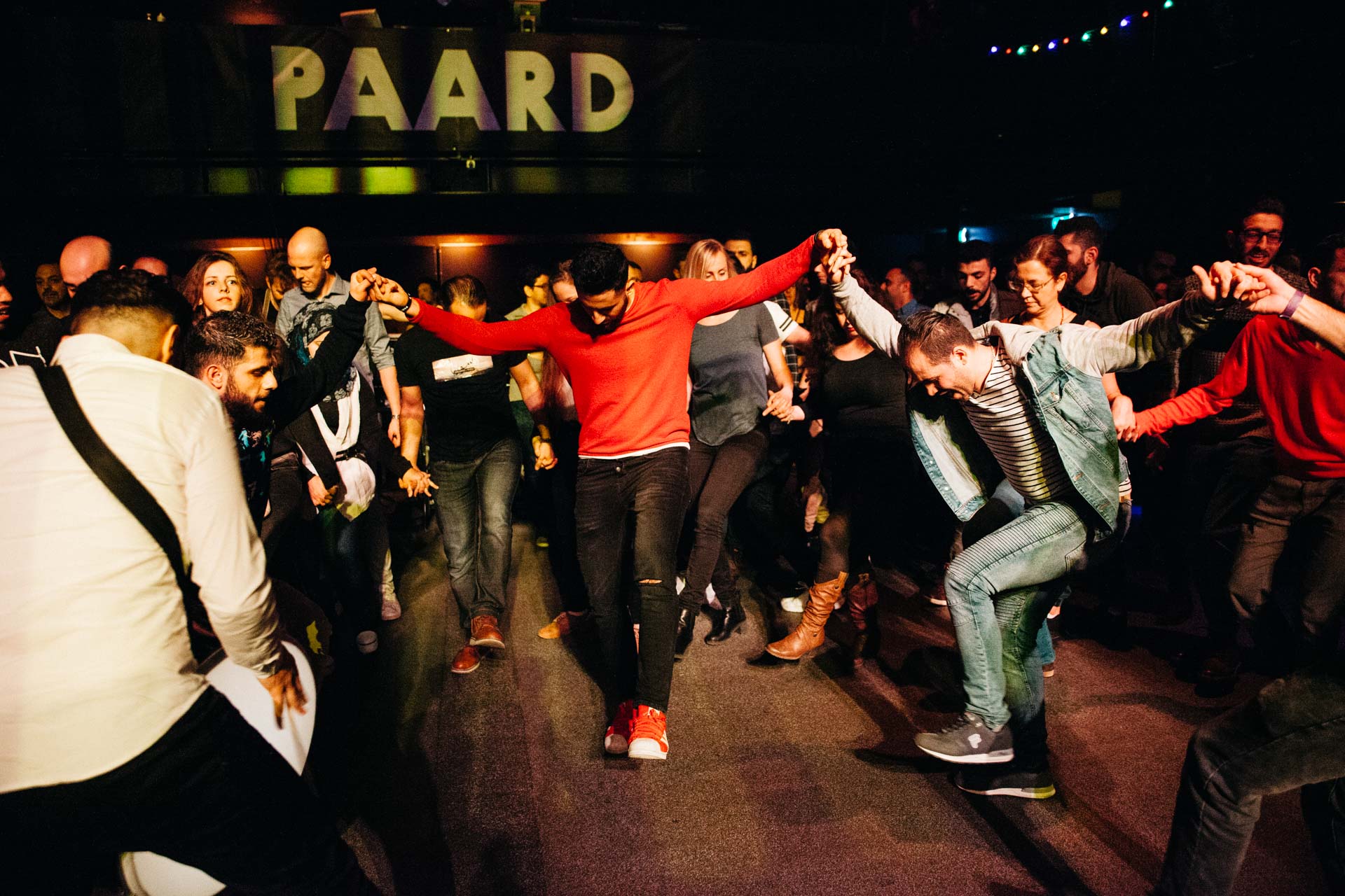 DABKE NIGHT 26/09 - PAARD