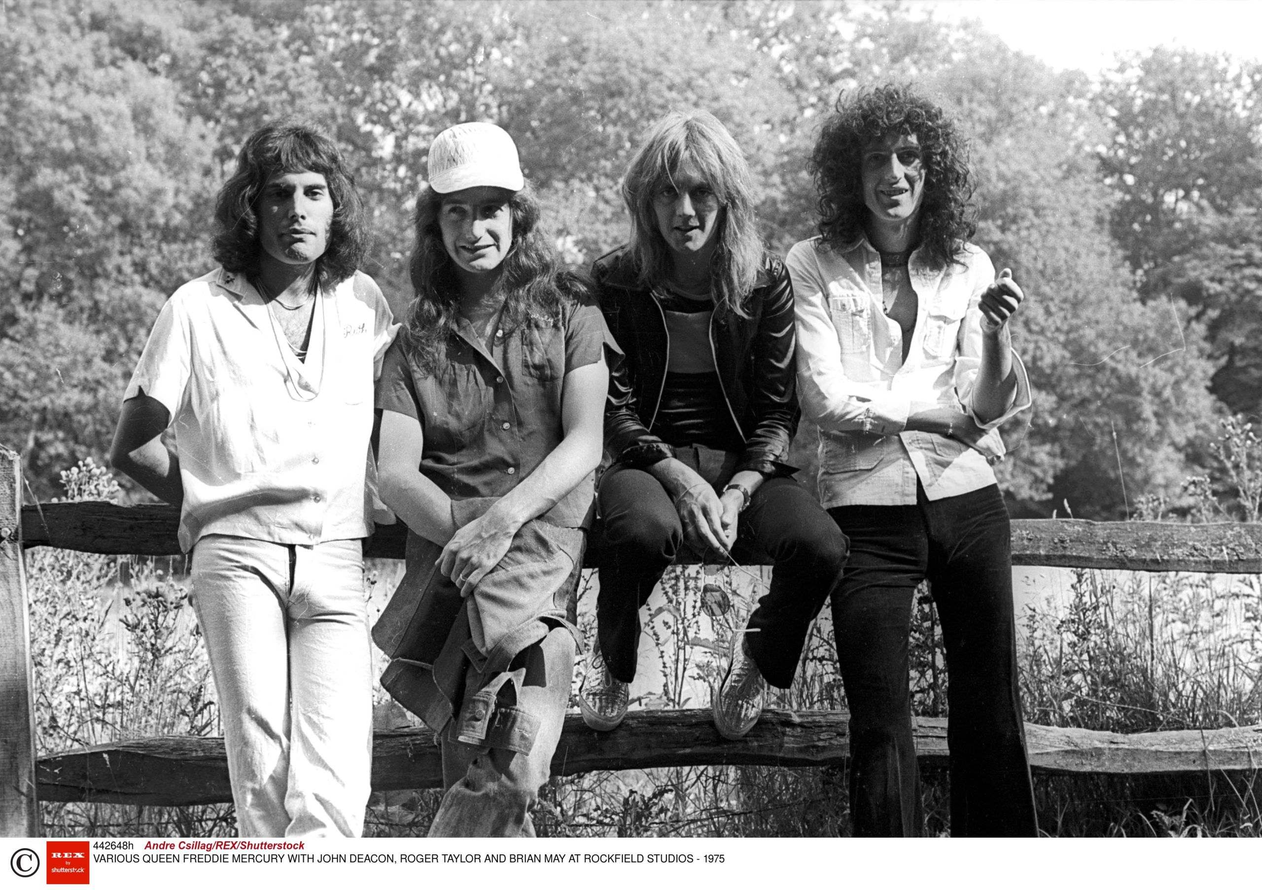 In-Edit: ROCKFIELD - The Studio on the Farm [publiek] - PAARD