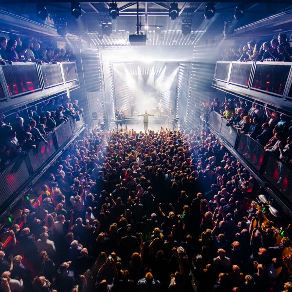 STAGE ORIËNTATIE - PAARD