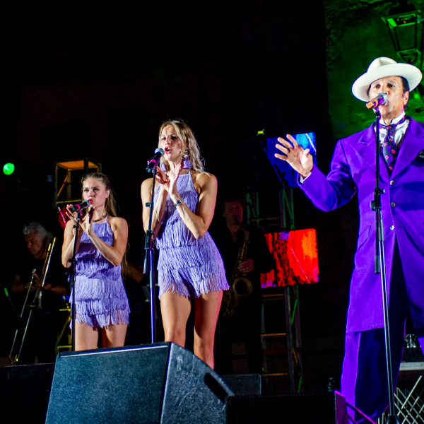 KID CREOLE & THE COCONUTS - PAARD