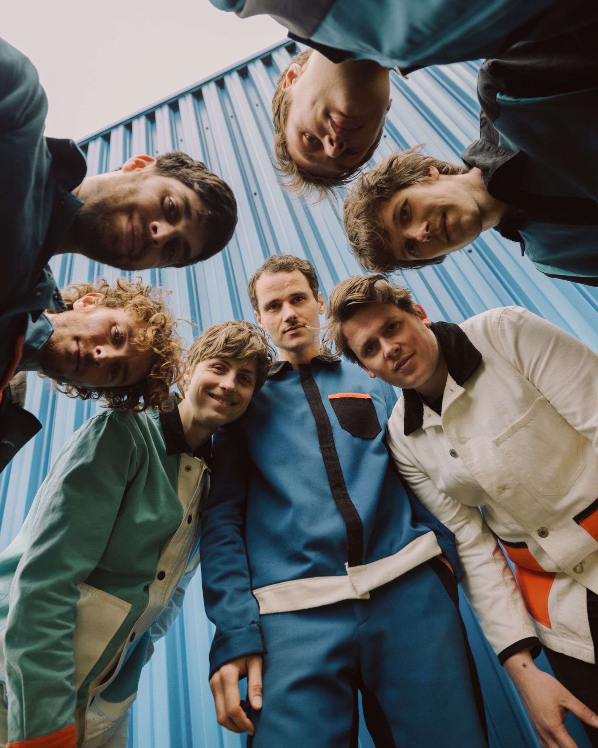 JUNGLE BY NIGHT - PAARD