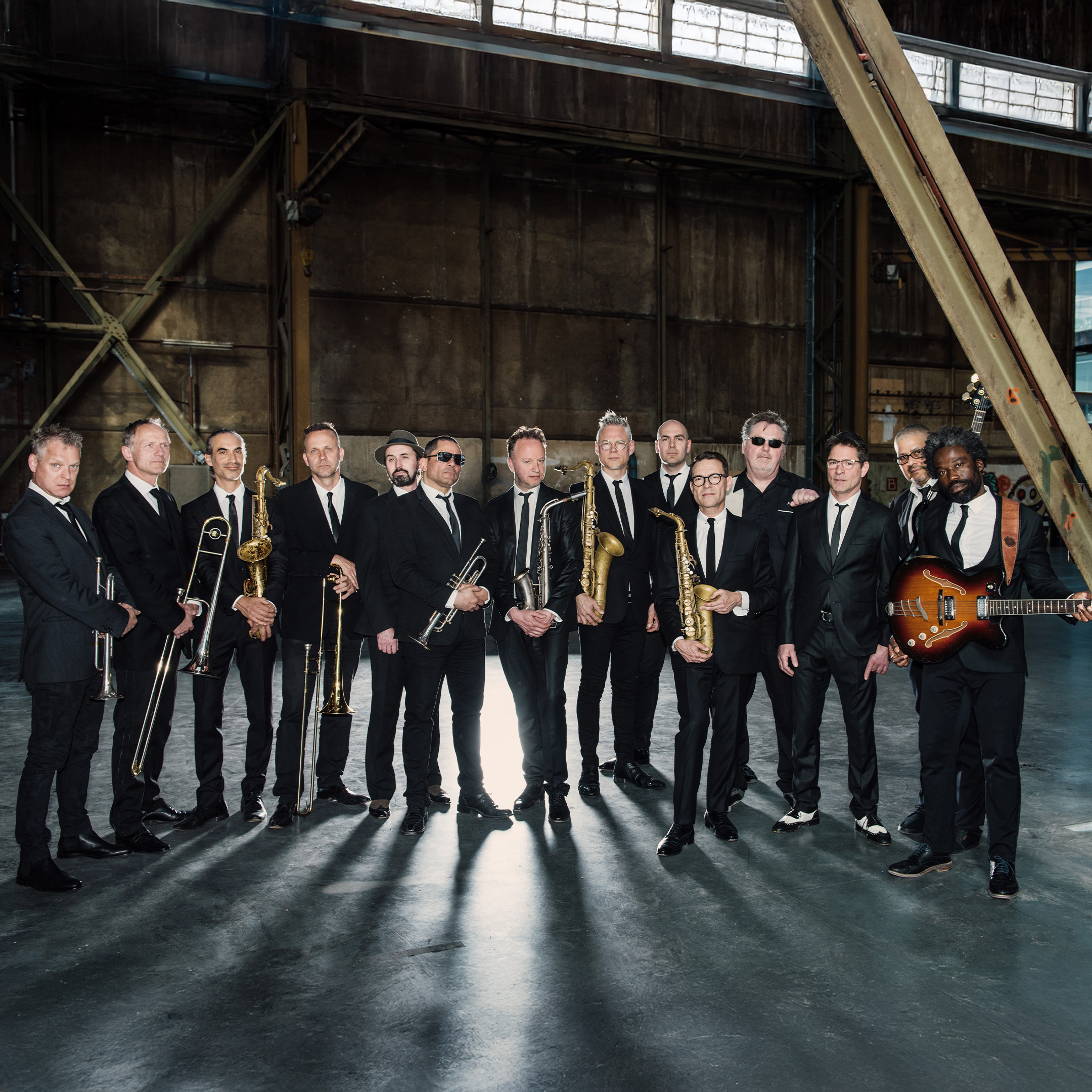 NEW COOL COLLECTIVE BIG BAND - PAARD
